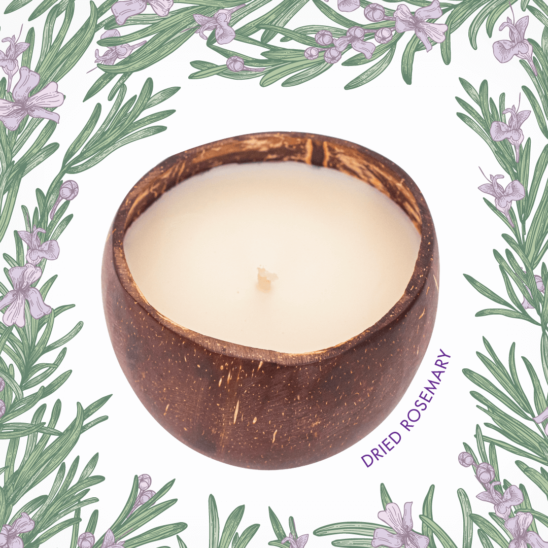 Coconut Candles – The Coconut People